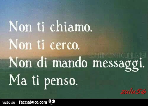 Non ti chiamo. Non ti cerco. Non di mando messaggi. Ma ti penso ...