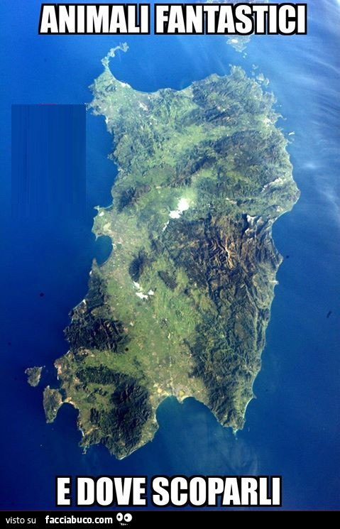 Tutti i meme sulla Sardegna - Facciabuco.com