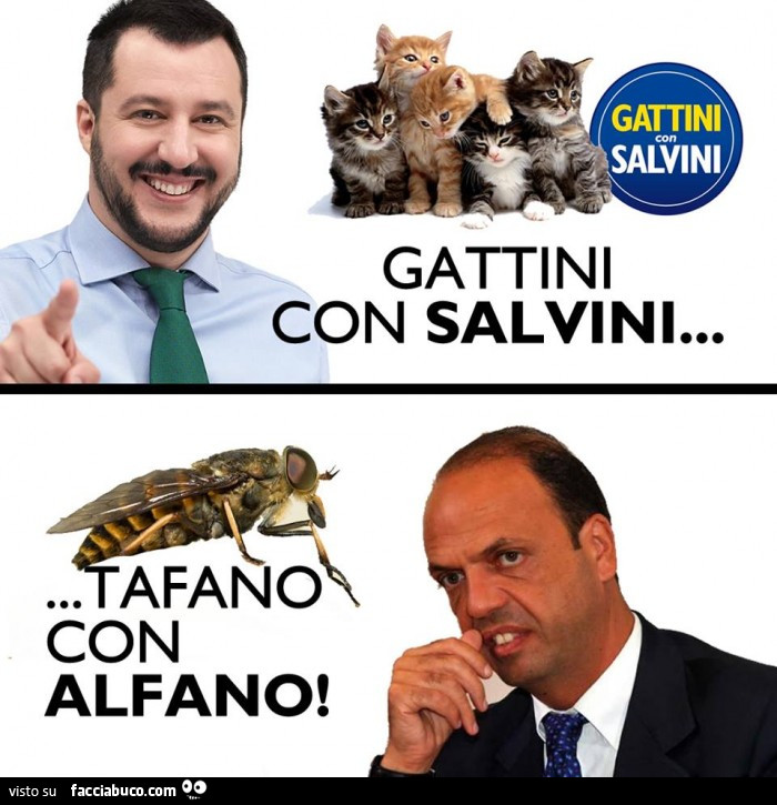 Tutti i meme su Matteo Salvini - Facciabuco.com