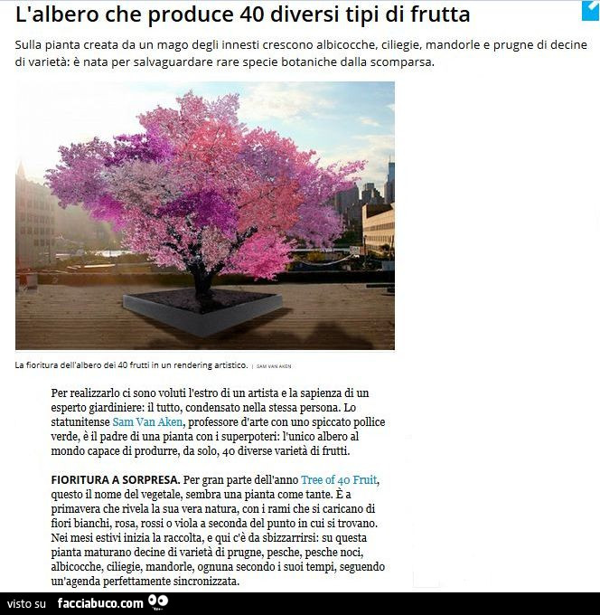 L'albero che produce 40 diversi tipi di frutta - Facciabuco.com